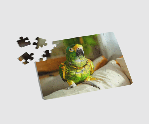 Cimpress